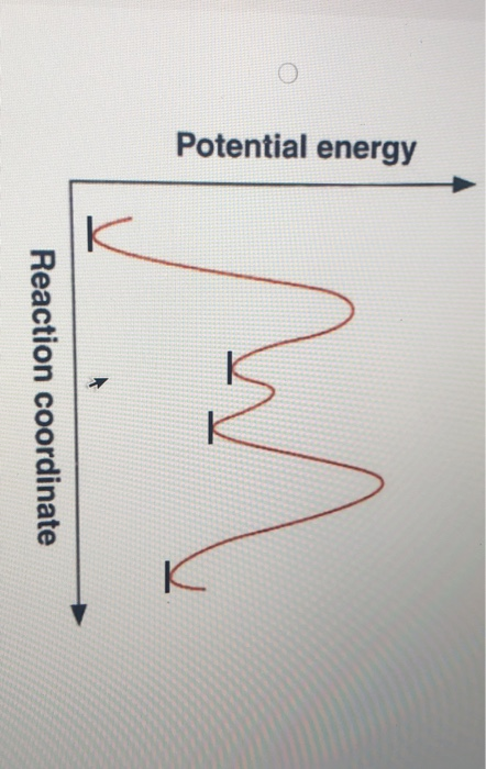 Solved which of the following is the correct reaction | Chegg.com