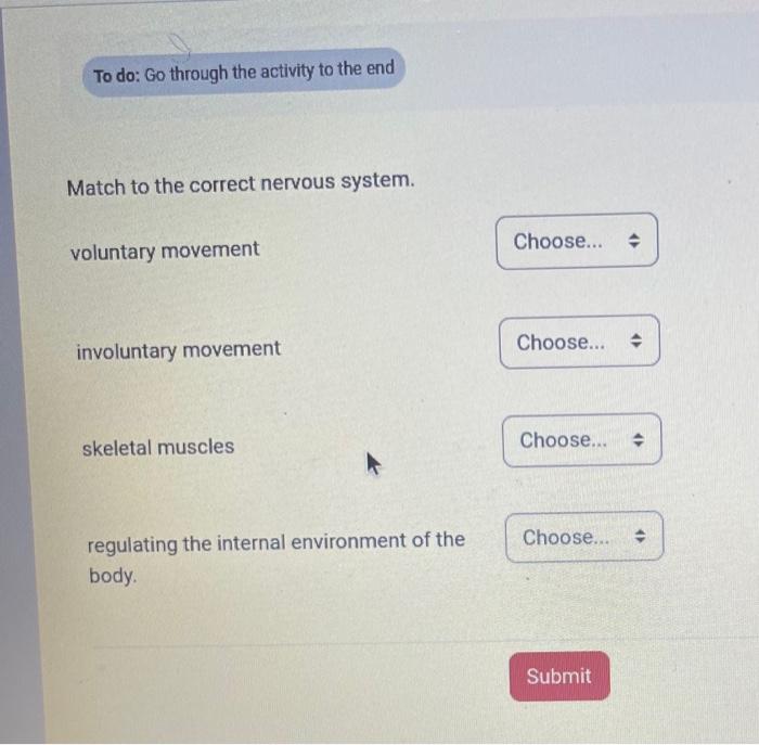 Solved Match to the correct nervous system. voluntary | Chegg.com
