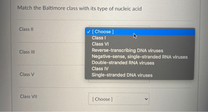 Solved Match the Baltimore class with its type of nucleic | Chegg.com