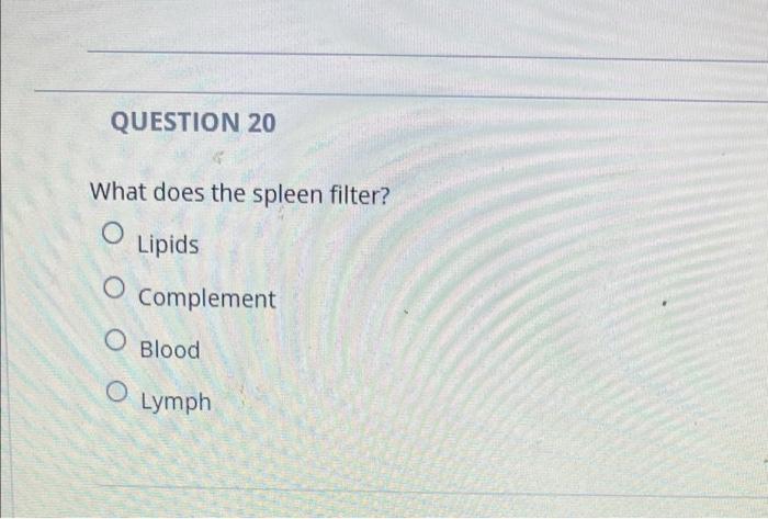Solved QUESTION 20 What does the spleen filter? Lipids O | Chegg.com