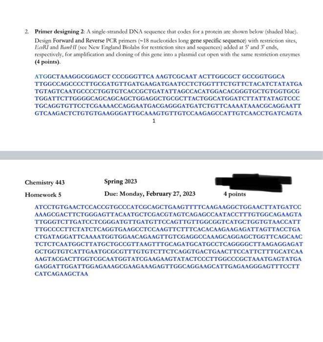 2. Primer designing 2: A single-stranded DNA sequence | Chegg.com