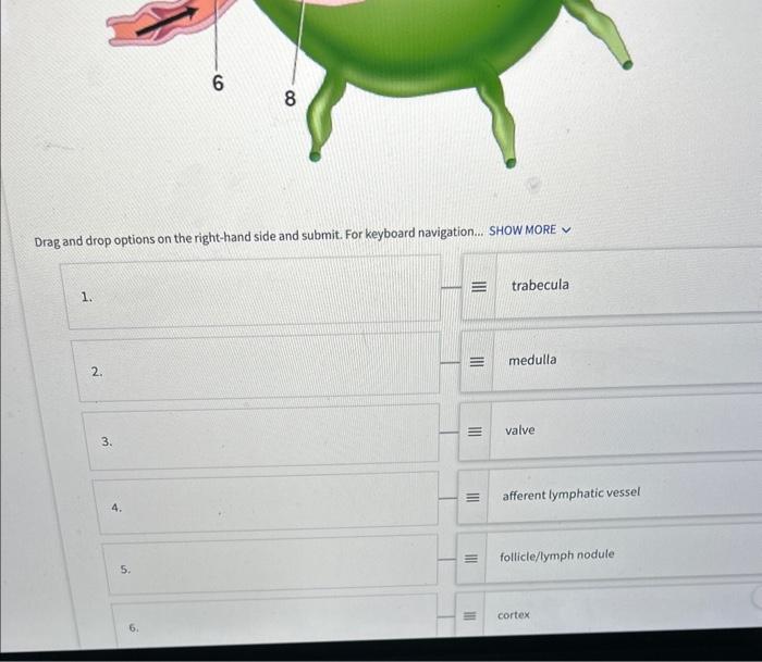 Solved Drag and drop options on the right-hand side and | Chegg.com