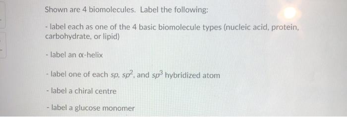 Solved Shown are 4 biomolecules. Label the following: - | Chegg.com