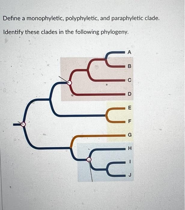Solved Define a monophyletic, polyphyletic, and paraphyletic | Chegg.com