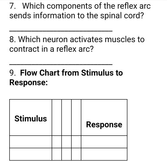 Solved 7. Which components of the reflex arc sends | Chegg.com