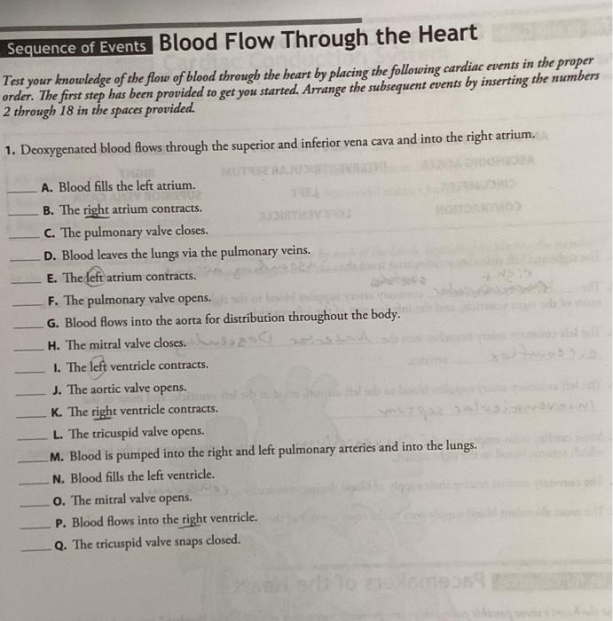 Solved Test your knowledge of the flow of blood through the | Chegg.com
