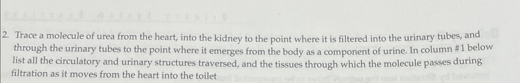 Solved Trace a molecule of urea from the heart, into the | Chegg.com