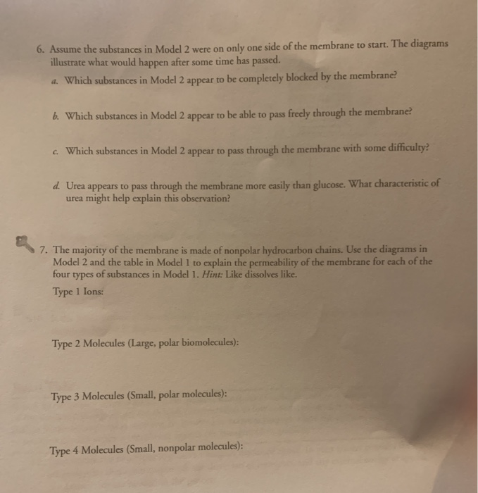 Solved Model 2 - Selectively Permeable Cell Membrane | Chegg.com