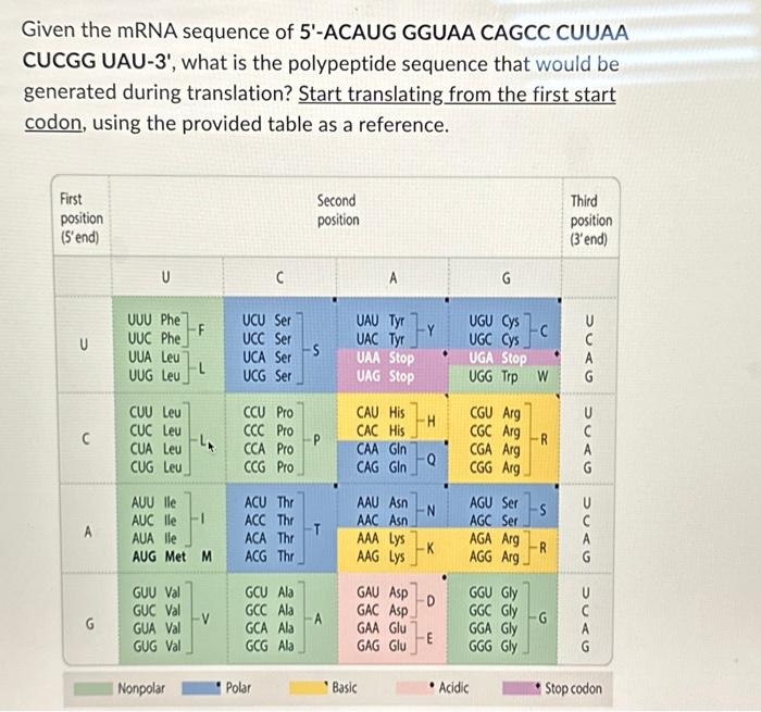 Solved Translation in cells requires which of the following | Chegg.com