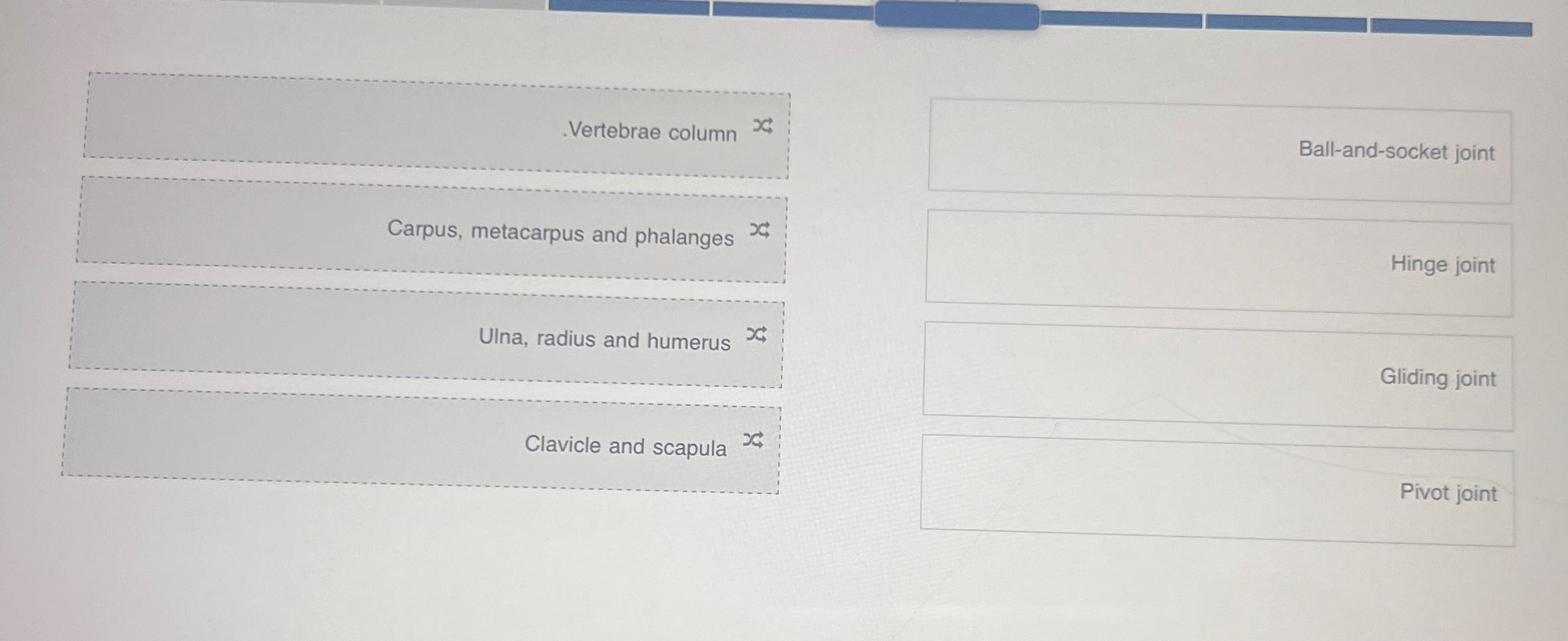Solved match the name of the joint to the type of bones | Chegg.com