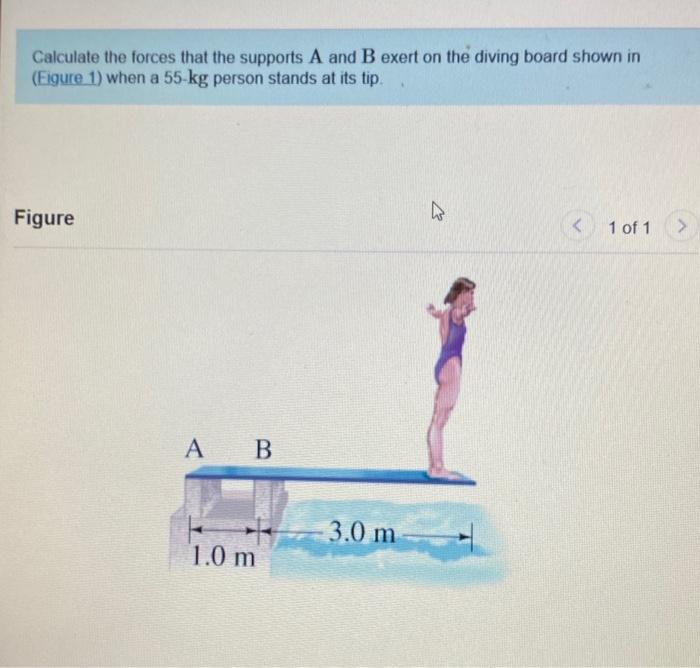 Solved a) Calculate the magnitude of the force that he must | Chegg.com
