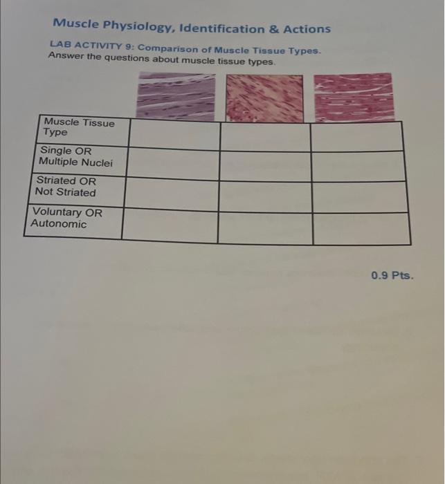 Solved Muscle Physiology, Identification \& Actions LAB | Chegg.com