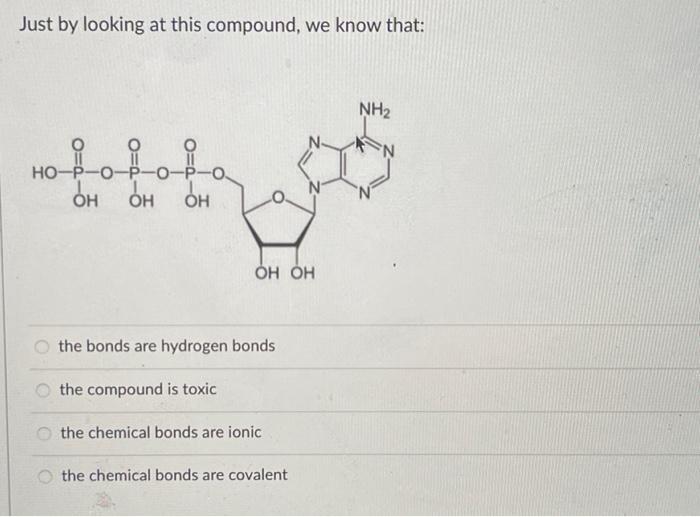 Solved Just by looking at this compound, we know that: NH2 N | Chegg.com