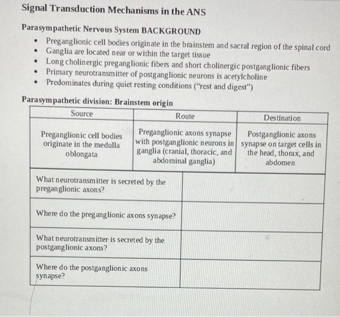 Solved Signal Transduction Mechanisms in the ANS . . | Chegg.com
