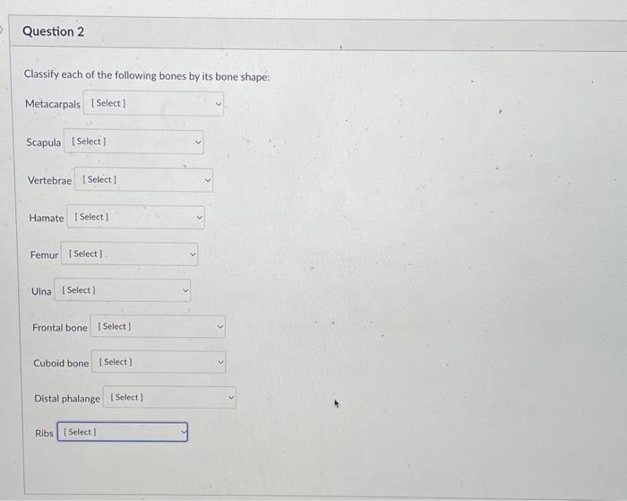 Solved Classify each of the following bones by its bone | Chegg.com