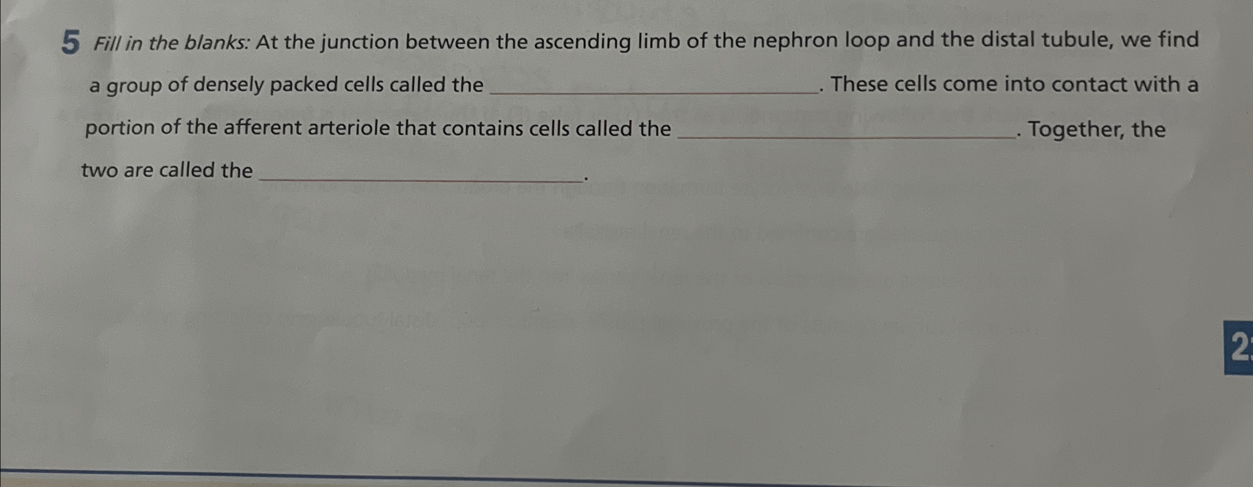 Solved 5 ﻿Fill in the blanks: At the junction between the | Chegg.com