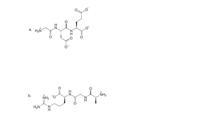 Solved Name each peptide using the three-letter nomenclature | Chegg.com