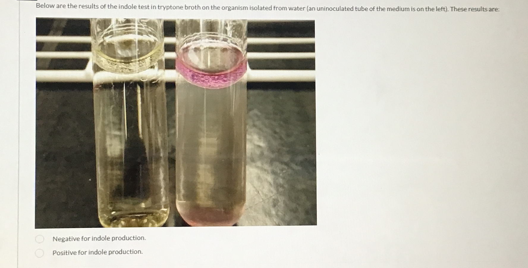 Solved Below are the results of the indole test in tryptone | Chegg.com