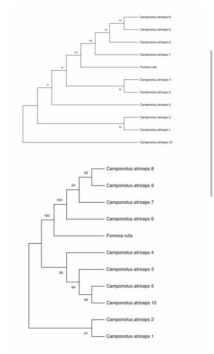 Solved What were the differences between your two trees? Are | Chegg.com