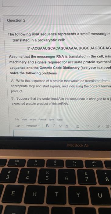 Solved The following RNA sequence represents a small | Chegg.com