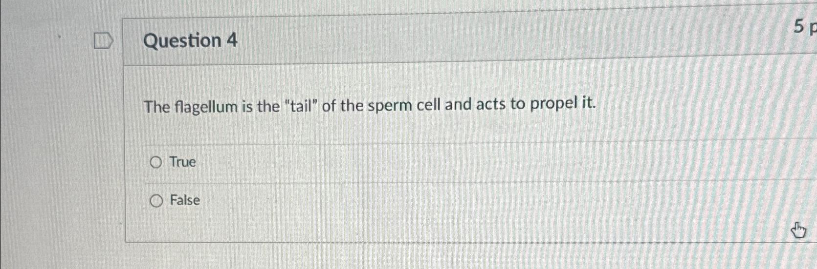 Solved Question 4the Flagellum Is The Tail Of The Sperm