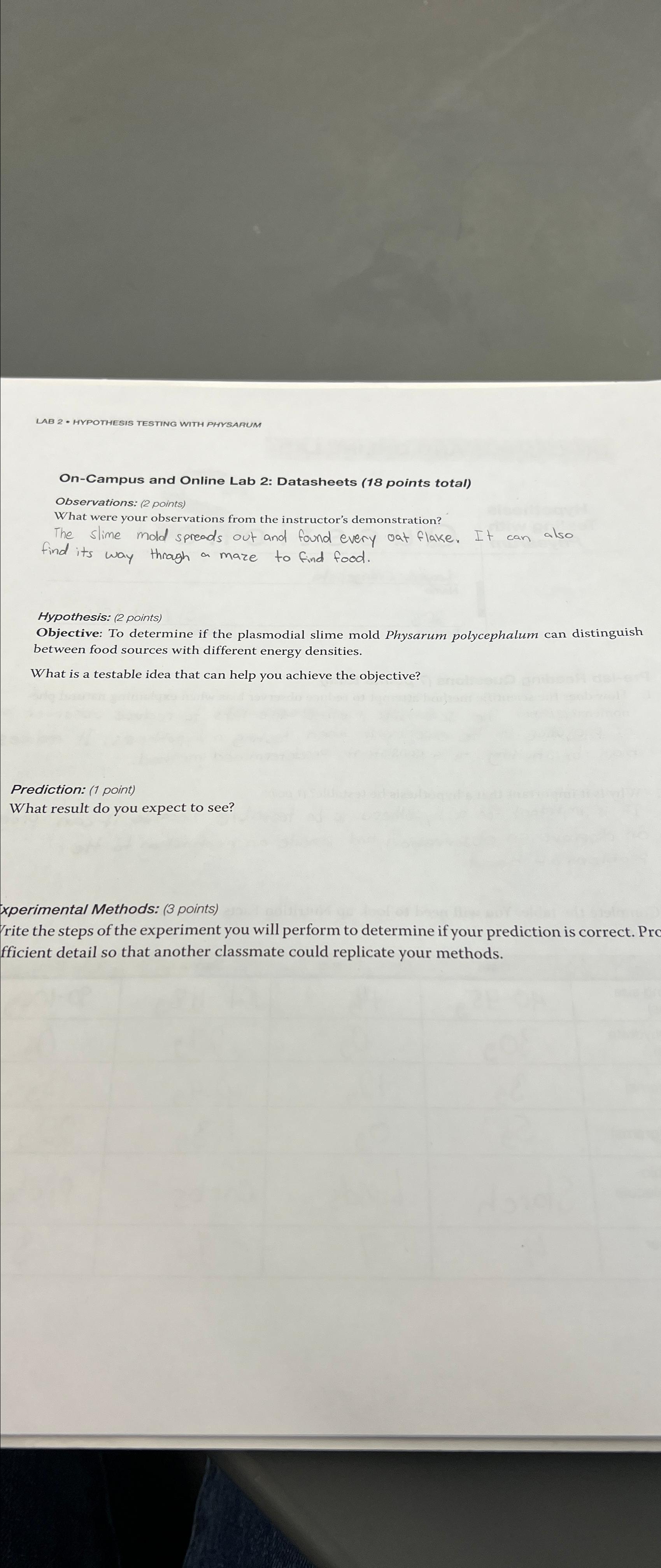 Solved LAB 2 - ﻿HYPOTHESIS TESTING WITH PHYSARUMOn-Campus | Chegg.com