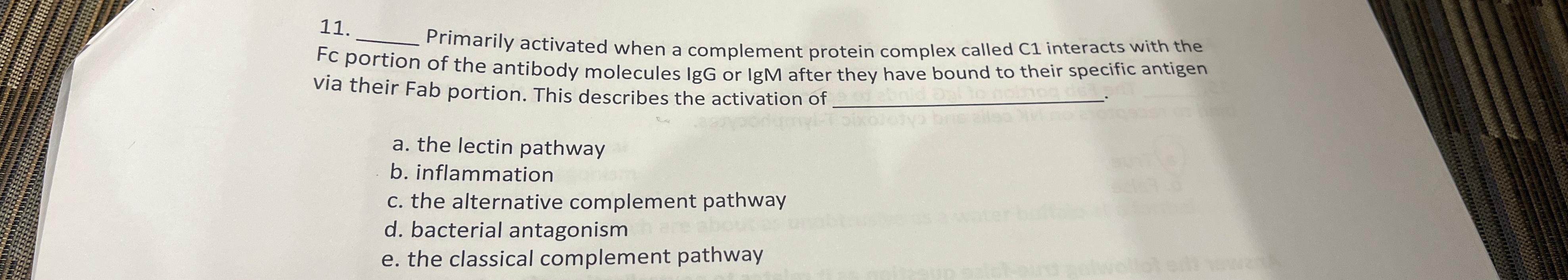 Solved Primarily activated when a complement protein complex | Chegg.com