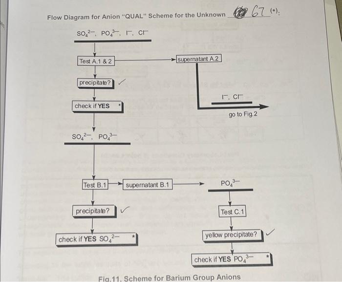 Solved Flow Diagram for Anion "QUAL" Scheme for the Unknown | Chegg.com