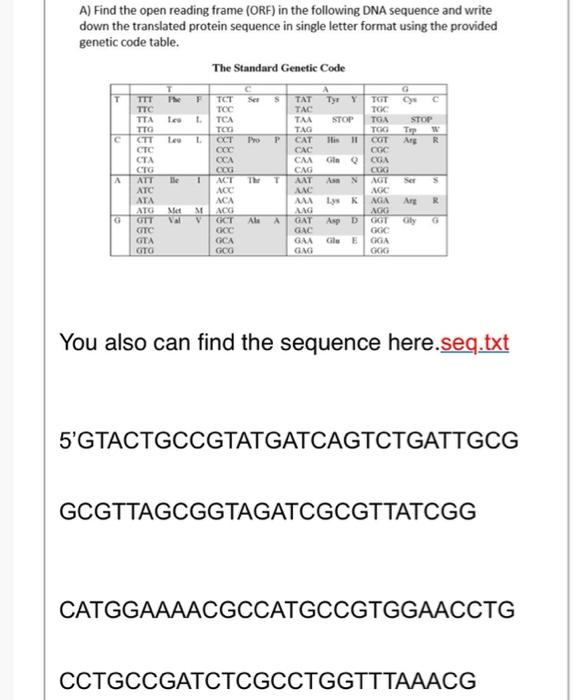 Solved A) Find the open reading frame (ORF) in the following | Chegg.com