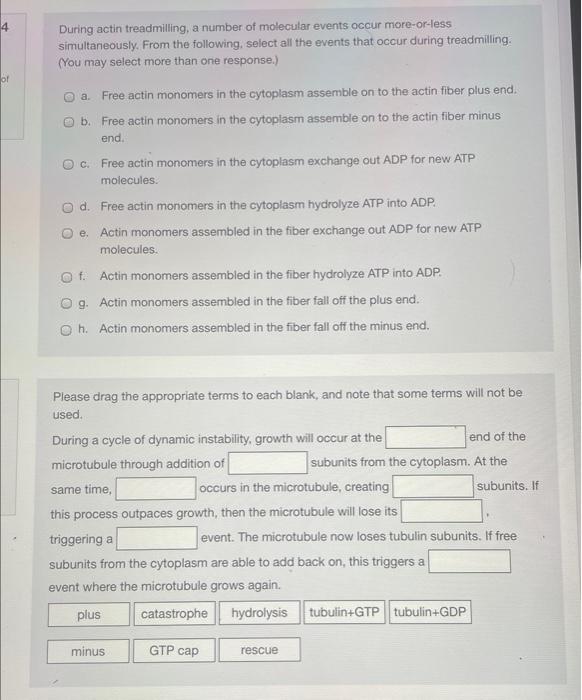 Solved During actin treadmilling, a number of molecular | Chegg.com