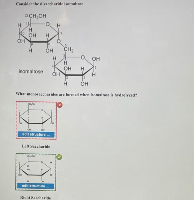 Solved Consider the disaccharide isomaltose. Н. 12 CH2OH О. | Chegg.com
