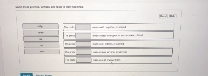 Solved Match these prefixes, suffixes, and roots to their | Chegg.com