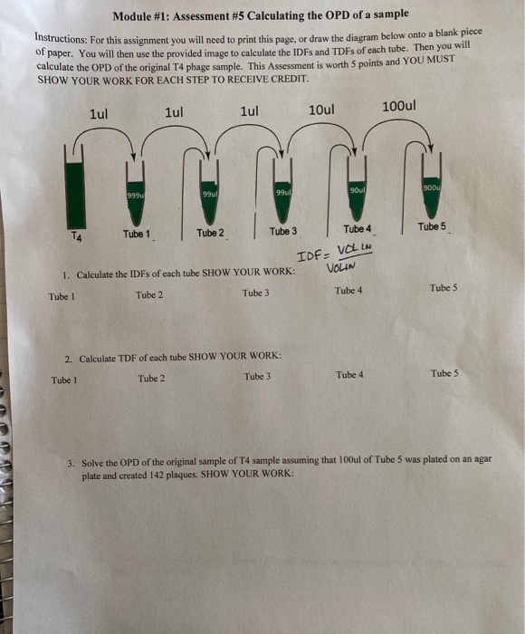 Solved Module #1: Assessment #5 Calculating the OPD of a | Chegg.com