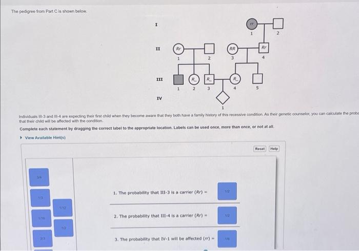 Solved The pedigree from Pant C is shown below. than their | Chegg.com