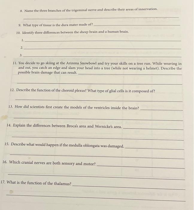 Solved 8. Name the three branches of the trigeminal nerve | Chegg.com