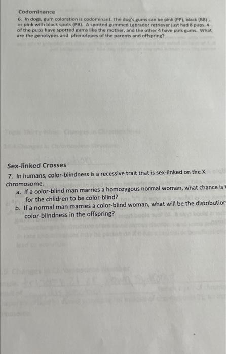 Solved Codominance 6. In dogs, gum coloration is codominant. | Chegg.com