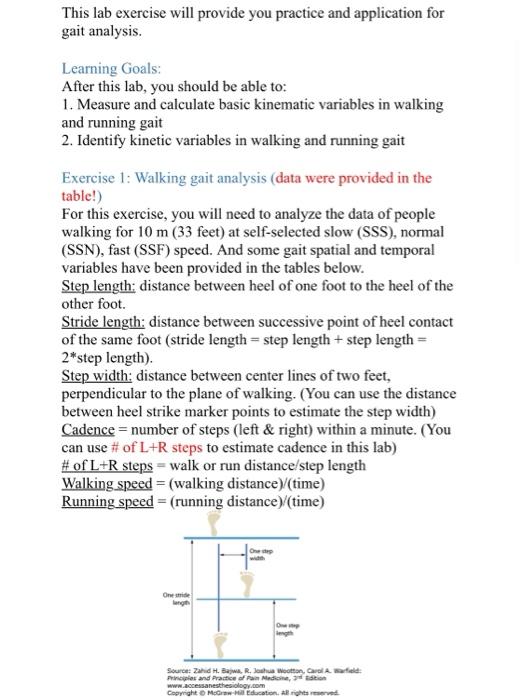 Solved This lab exercise will provide you practice and | Chegg.com