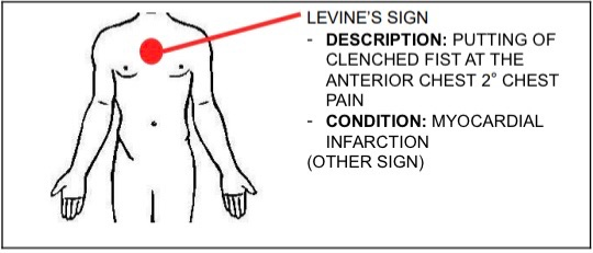 Solved Andominal Sign- Foregut(CHECK THE PICTURE EXAMPLE | Chegg.com