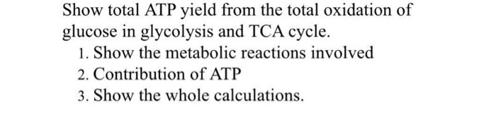 Solved Show total ATP yield from the total oxidation of | Chegg.com