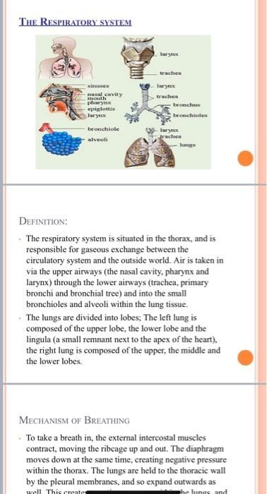 Write lab report for circulatory and respiratory | Chegg.com