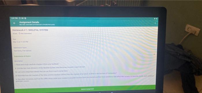 2:01 PM ONG Assignment Details Homework 1. SKELETAL | Chegg.com