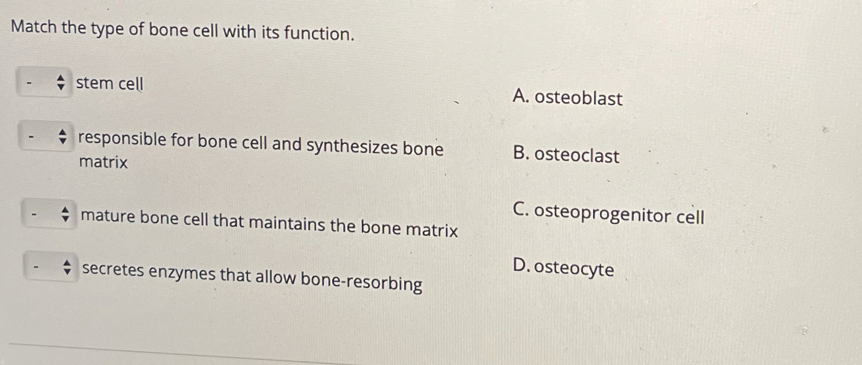 Solved Match the type of bone cell with its function.stem | Chegg.com