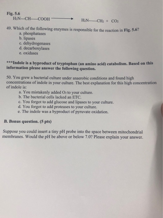 Solved Fig. 5.6 H2N---CH-----COOH H2N------CH2 + CO2 49. | Chegg.com