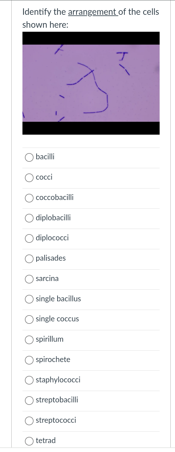Solved Identify the arrangement of the cells shown here: | Chegg.com