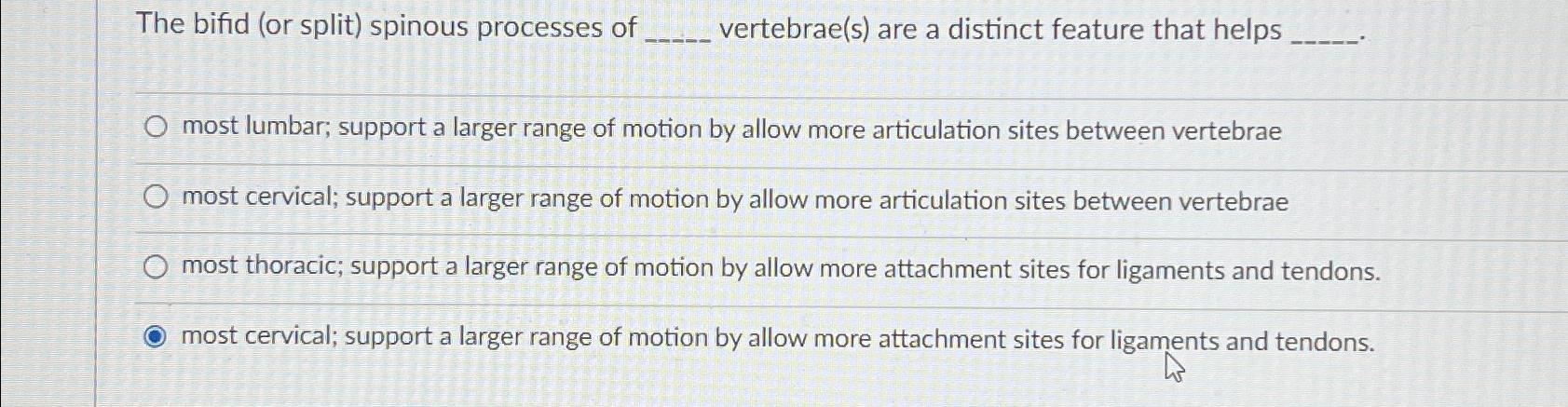 Solved The bifid (or split) ﻿spinous processes of | Chegg.com