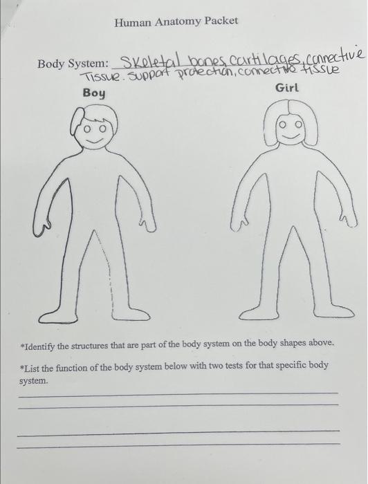 Solved Body System: Reproductive ses organs reproduction | Chegg.com