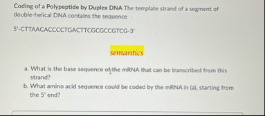 Solved Coding of a Polypeptide by Duplex DNA The template | Chegg.com