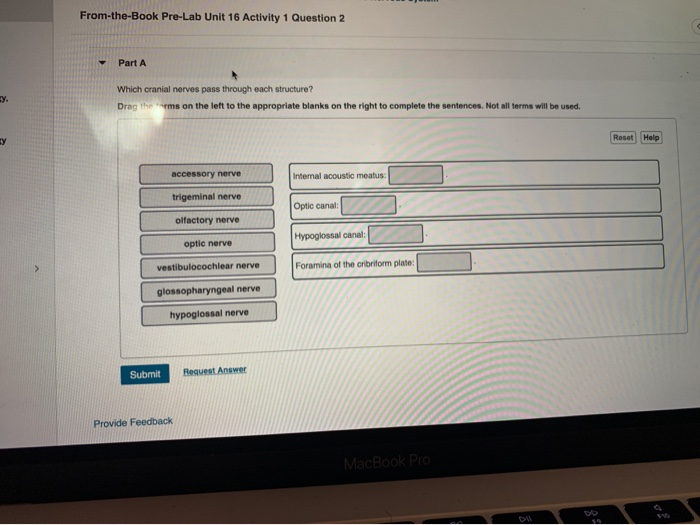 Solved From-the-Book Pre-Lab Unit 16 Activity 1 Question 2 | Chegg.com