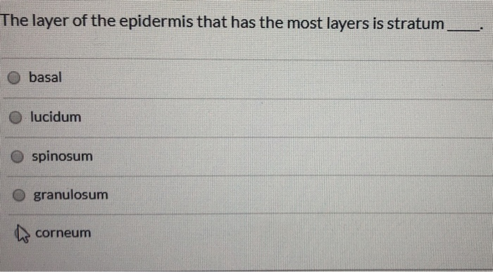 Solved The layer of the epidermis that has the most layers | Chegg.com