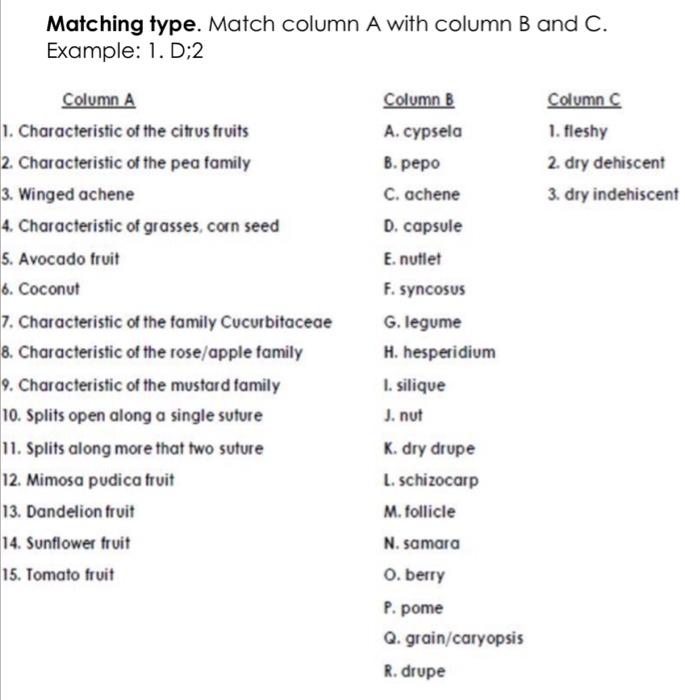 Solved Matching Type Match Column A With Column B And C Chegg